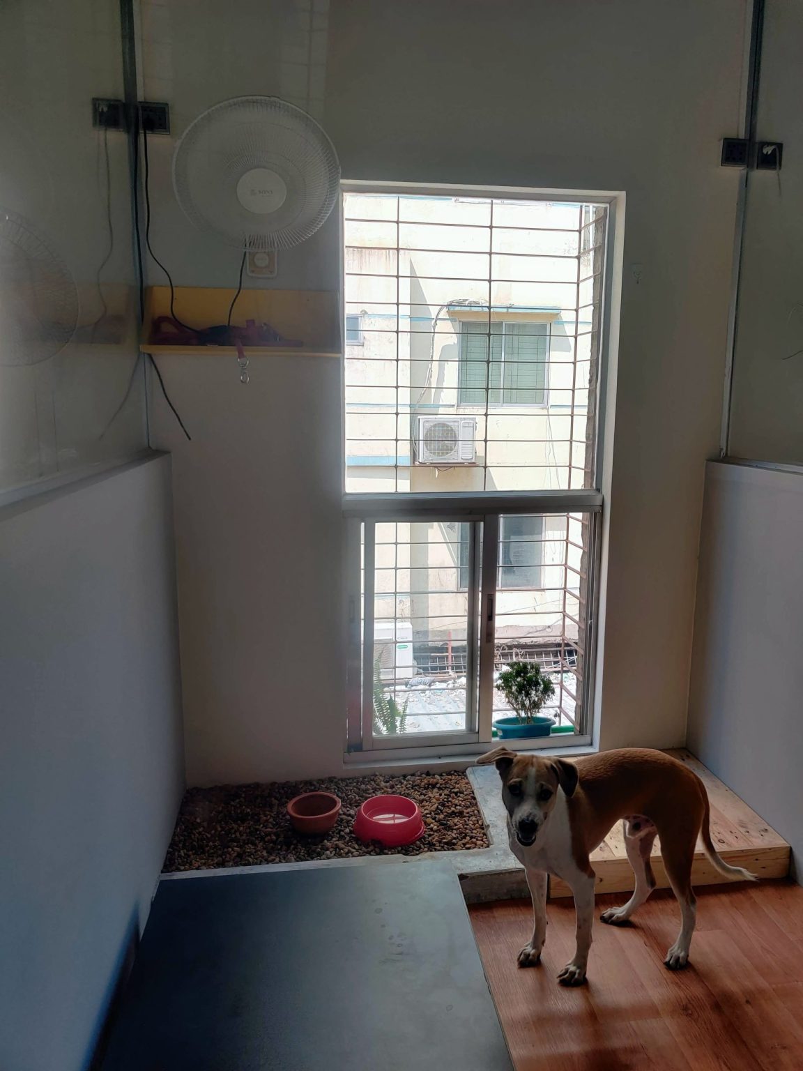 Furry Ghor – Pet Hotel