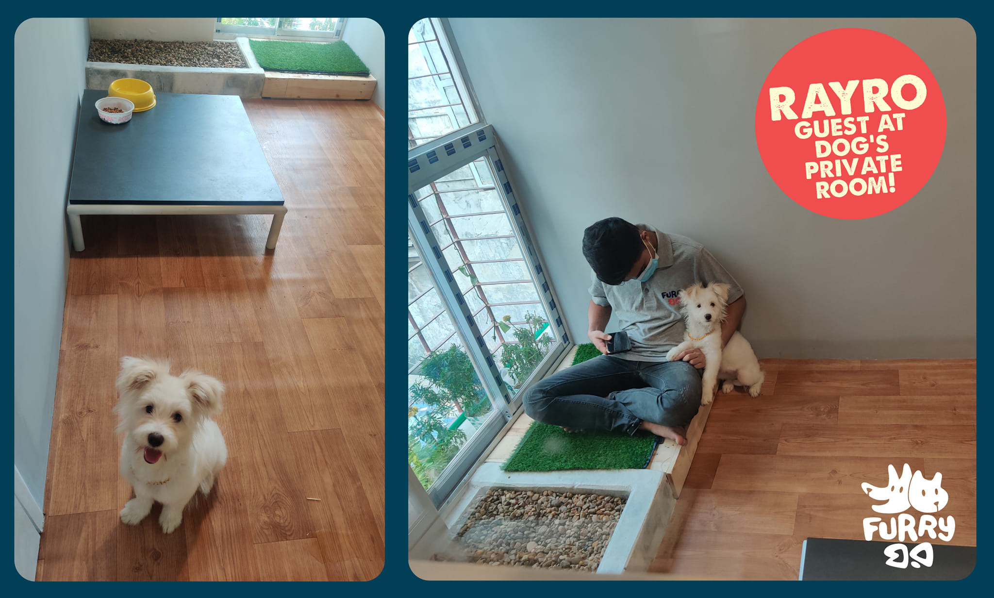 Furryghor – Your Friendly Pet Hostel in Dhaka, Bangladesh